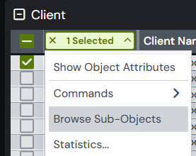Browse Sub-Objects in Solace Client – meshIQ